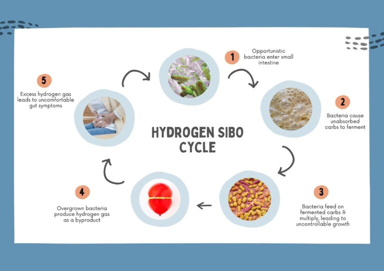 Demystifying SIBO: An Ultimate Guide to Understanding & Conquering It