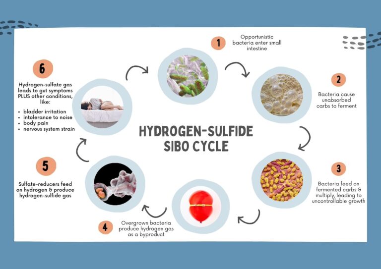 Demystifying SIBO: An Ultimate Guide to Understanding & Conquering It